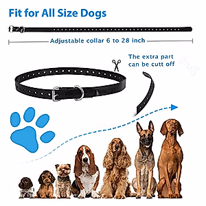 HEXIEDEN In-ground/Aboveground Electric Dog Fence,Pet Safe Containment System,IP66 Waterproof & Rechargeable Collar, Shock & Tone Correction,650 Ft Wire,for 1 2 3 Dog,for2dogs