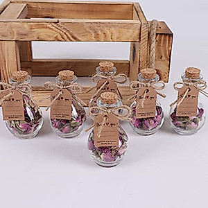 Pack of 10 Tea Party Favors Bulk, Personalized Rustic Wedding Favors for Guest, Glass Tea Jar Thank You Gifts for Your Guest (Rose Tea)