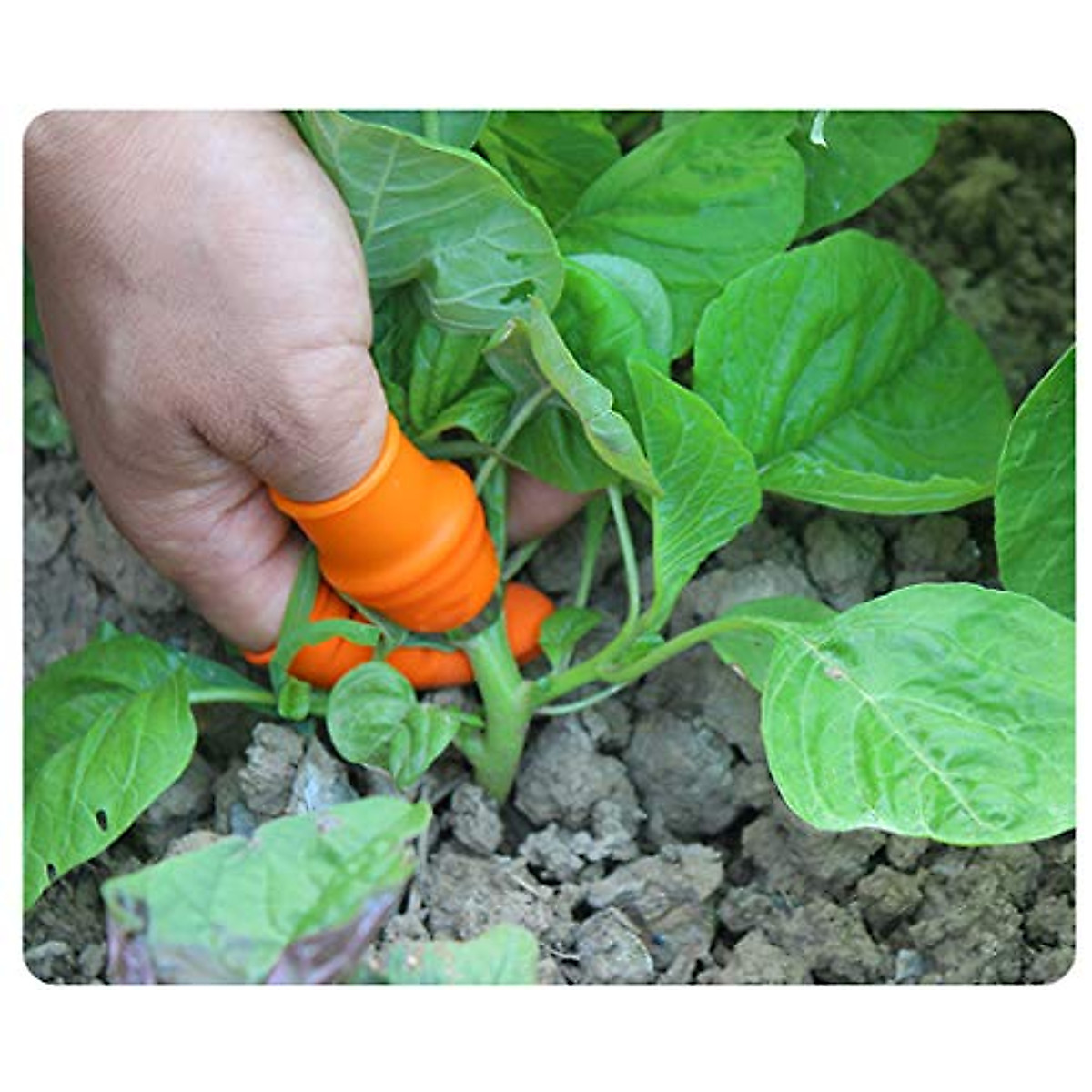 Fruit and Vegetable Picking Potted Plants Trim Silicone Thumb Knife Set Picking Portable Knife Garden Tools (2)