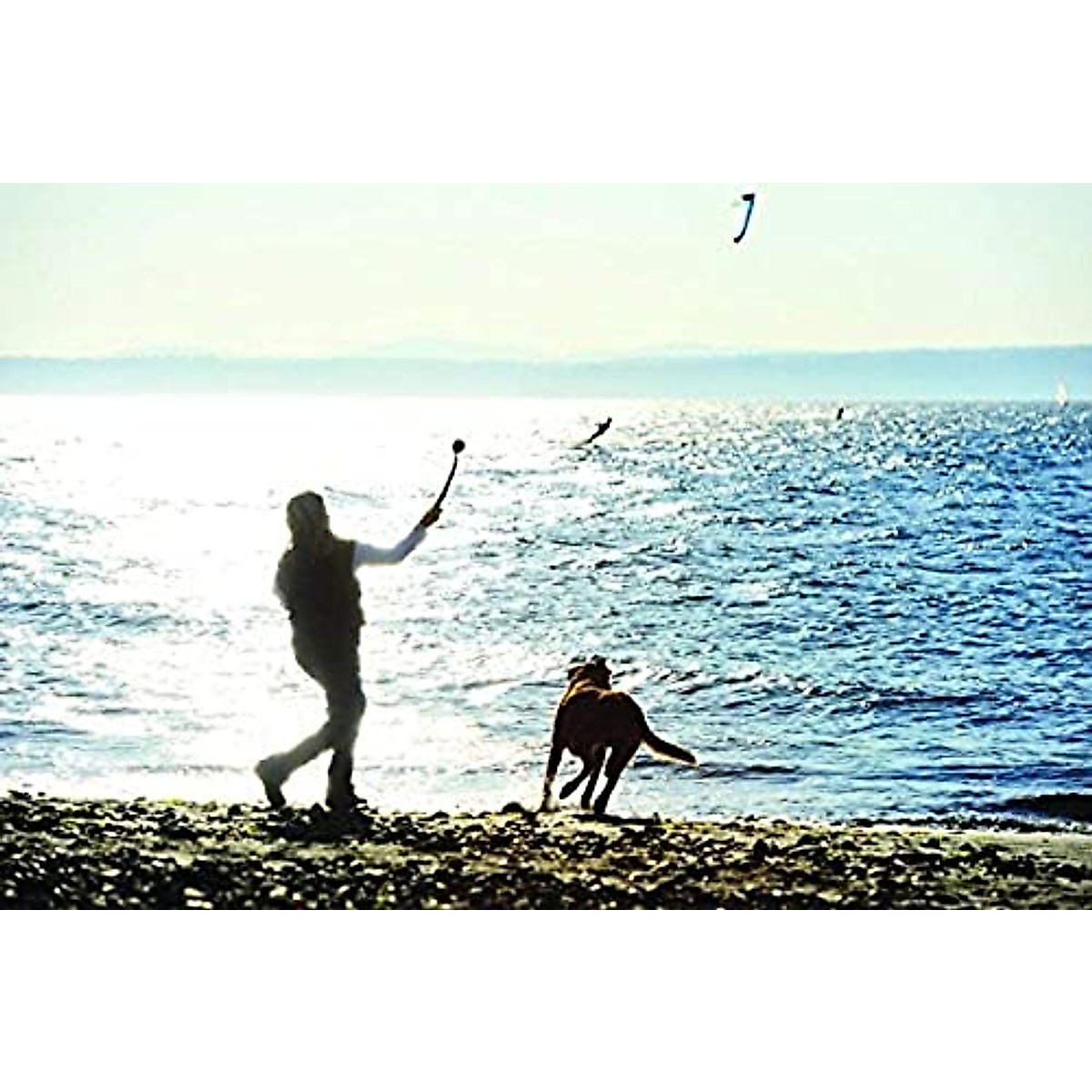 Chuckit! Pro 25M Dog Ball Launcher, 25" Length, Includes Medium Ball (2.5") For Dogs 20-60 Pounds