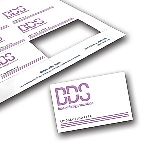 Avery 5390 Insert Badge Refill, Fits 2-1/4-Inch x3-1/2-Inch, 8/Sht, 400/BX, WE