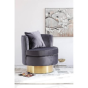 Meridian Furniture Kendra Collection Modern | Contemporary Velvet Upholstered Accent Chair with Swivel Base in Gold Finish, 29" W x 29" D x 29" H, Gray