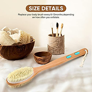Shower Brush with Soft and Stiff Bristles, Long Handle Back Brush Dual-Sided, Wet & Dry Brush for Cellulite and Lymphatic