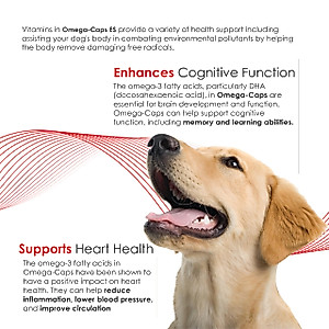 Omega-Caps Extra Strength for Large Breeds-Vet Formulated for Healthy Radiant Skin & Coat While Reducing Excess Shedding. Contains Omega 3 for Immune System Support, Easy to Dose, 60 Soft Gel Capsules