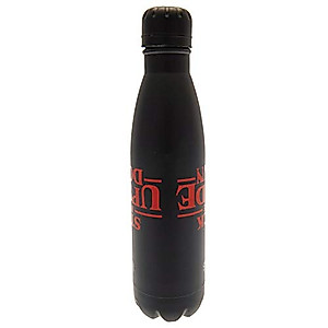 Pyramid International Stranger Things Insulated Metal Water Bottle with Upside Down Graphic 540ml - Official Merchandise