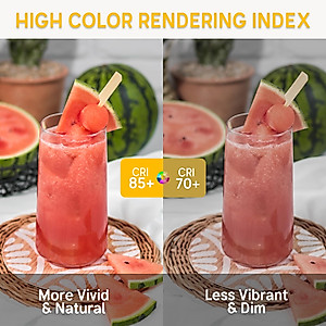 Prosperbiz E12 60W Equivalent LED Light Bulbs, A15 6W Ceiling Fan Light Bulbs Daylight White 5000K, Candelabra Base Globe Shape LED Bulbs, Not Dimmable, 600 Lumen, Pack of 3