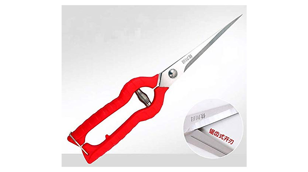 Extra Long Pruning Shears: Stainless Steel Garden & Bonsai Tool