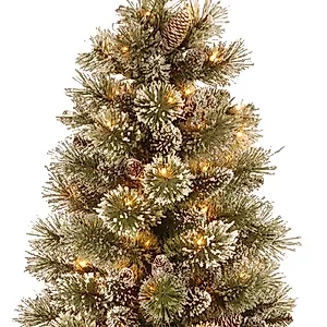 National Tree Company Pre-lit Artificial Mini Christmas Tree | Includes Small White LED Lights, White Tipped Cones, Glitter Branches Pine Cones and Cloth Bag Base | Glittery Bristle Pine - 3 ft