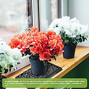 2 Pack Bonsai Humidity Tray 9 Inch Drip Tray Rectangular Plastic Plant Water Catcher Tray Plant Saucers for Indoors and Outdoors Cactus, Succulents, Bonsai Tree, Houseplants Drainage and Moisture