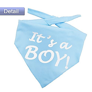 It’s a Boy or It’s a Girl Dog Bandana Pregnancy Announcement Dog Bandana Baby Announcement Triangle Pet Scarf Scarves Gender Reveal Photo Prop Blue