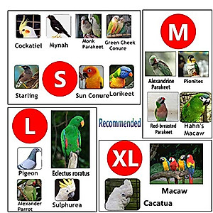 2 Pack Pet Bird Uniform Tuxedo Flight Suit for Wedding Anniversary Christmas Party Birthday Cosplay Photo Prop, Waterproof Nappy Diaper Clothes for Macaw African Budgies Parakeet Fischeri Cockatiel