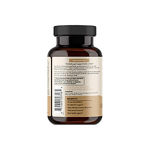 TERRA ORIGIN Healthy Gut Capsules with Immunity Boost | 90 Capsules | Digestive Support Including intestinal Permeability, IBS, Bloating, Gas and Constipation* 30 Servings/90 Capsules.