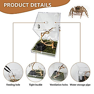 GKPONSX Jumping Spider Enclosure, Acrylic Snail SpiderTerrarium Insect Breeding Box with Tongs Bowls Dropper for Snail Insects Gecko Scorpion Sling Mantis Frog Isopods Hermit Crabs (Driftwood)