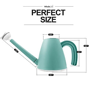 Watering Can for Indoor and Outdoor Plants 1/2 Gallon Plastic, Long Spout with Detachable Shower Spray Head, Water Can for Plants, Garden, Flower, Office(2.0L Blue) by WhaleLife