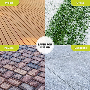 Snow Joe AZ-50-EB Melt-2-Go Nature + Pet Friendly CMA Blended Ice Melter, 50-lb Bag & Spot Spreader Hand Spreader Shaker for Seed, Salt, De-Icer, Ice Melt, Earth Food and Fertilizer - Up to 80 Oz