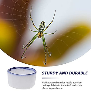 Ipetboom 12pcs Reptile Food Dish Bowl, Worm Dish Ceramic Pet Bowls Terrarium Bowls Reptile Water Sink for Leopard Gecko Bearded Dragon Tank Accessories, 2x2x1cm