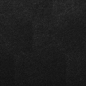 Cortesi Home Chicago Leather Sofa, 79", Black