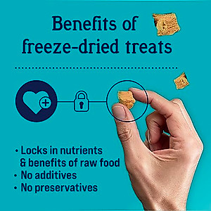 Stewart Freeze Dried Dog Treats, Wild Salmon, Grain Free & Gluten Free, 2.75 Ounce Resealable Tub, Single Ingredient, Made in USA, Dog Training Treats