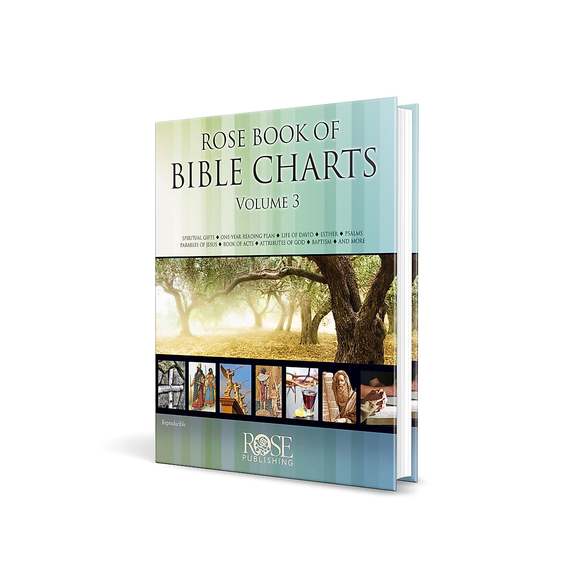 Rose Book of Bible Charts, Volume 3