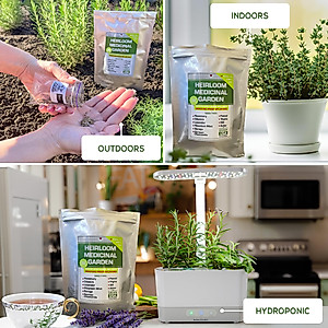 10 Medicinal Herb Seeds - Heirloom, Non GMO, USA Made - 2050 Most Needed Herbal and Medical Tea Seeds Pack for Planting Indoors and Outdoors - Lavender, Mountain Mint, Chamomile & More
