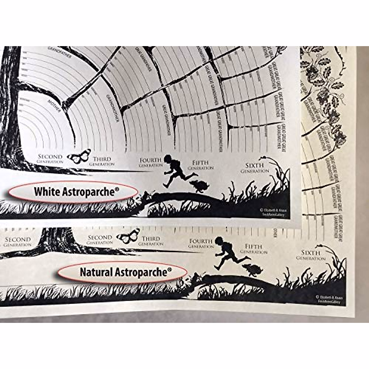 Family tree chart 2-per-order blank posters to be personalized w/genealogy, gifts for baby, men, women, grandparents, mother/father in-laws.