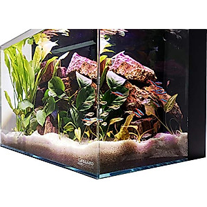 LIFEGARD Low Iron Ultra Clear Crystal Aquarium with Built in Filter – Rimless Glass, Beveled Edge, Elevated Style – Direct Jet Flow – 8.3 GPH