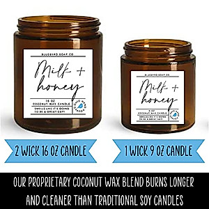 Bluebyrd Soap Co. Fraiser Fir & Pine Scented Candle Jar 9oz. | Amber Glass Holiday Candle Made with Natural Coconut Wax & Non-Toxic Fragrance (Fresh Cut Trees, 9oz)