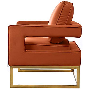 Meridian Furniture Noah Collection Modern | Contemporary Velvet Upholstered Accent Chair with Durable Stainless Steel Base, 33.5" W x 29.5" D x 35.5" H, Cognac