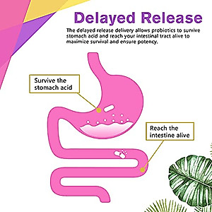 Doctor's Recipes Women’s Probiotic, 60 Caps 50 Billion CFU 16 Strains, with Organic Prebiotics Cranberry, Digestive Immune Vaginal & Urinary Health, Shelf Stable, Delayed Release, No Soy Gluten Dairy