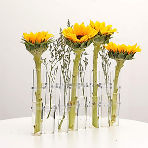 DOITOOL 8Pcs Test Tube Vase Decorative Glass Vase Hinged Bud Test Tubes Vases Planter Arranging Container Hydroponic Holder Decor with Hooks and Brushes 18cm