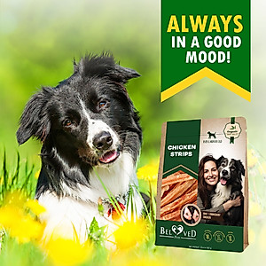 Beloved Pets Chicken Jerky Strips Dog Treats - Human Grade Meat Sticks - Natural Pet Dried Snacks Rawhide - Free - Long Lasting Chews for Large & Small Dogs - Best for Training & Healthy Teeth
