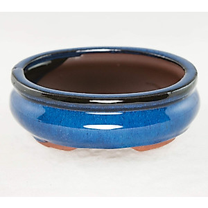 6" Oval Dark Blue Glazed Bonsai/Succulent Pot + Soil + Tray + Rock + Mesh Kit