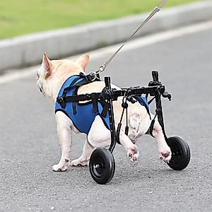 Small Dog Wheelchair for Back Legs, Adjustable Dog Wheelchairs - Mobility Aids for Disabled Pets, Dog Leg Brace and Hip Support, Suitable for Pets Weighing 8-20 Pounds