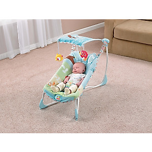 Fisher-Price Soothe & Go Bouncy Seat