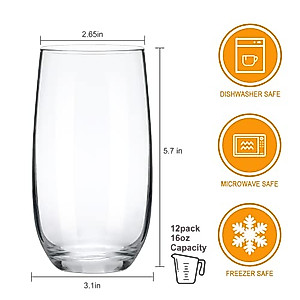 QAPPDA Drinking Glasses Set of 12,16 OZ Highball Glasses with Straws,Clear Tall Water Glasses Premium Cocktail Glasses Beverage Cups Mojito Glassware for Juice,Mixed Drinks