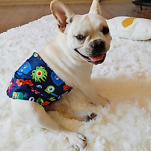 CuteBone Dog Belly Bands for Male Dogs Wraps Washable Doggie Diapers DM07M