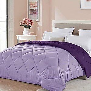 Seward Park Full/Queen Size Reversible Comforter Kids Lightweight Microfiber Fill Girls Bedding All Season Cooling Summer Bedspread Blanket Lavender Plum/Light Dark Purple