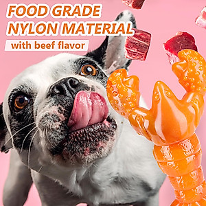 M&MKPET Indestructible Dog Toys for Aggressive Chewers Large/Medium Breed,Tough Dog Toys for Large Dogs,Nylon Dog Toys for Big Dogs,Durable Dog Chew Toy for Teething Heavy Duty Dog Bones