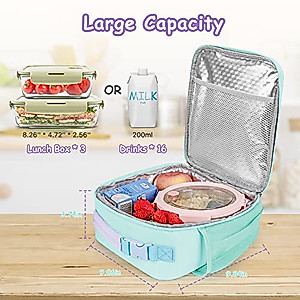 DANIA & DEAN Lunch Bags, Cute Insulated & Reusable Mini Cooler Lunch Tote, Durable Thermal Lunchbox for Children/Students/Boys/Girls/Women/Men, School Picnic Travel Outdoor（Mint Green & Purple）