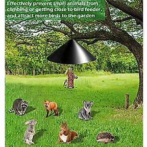 Fandature 19 Inch PP Squirrel Proof Baffle for Protecting Outside Pole Bird Feeders and Bird Houses, Hang Mount Raccoon and Squirrel Guard Stopper for Shepherd Hooks - Black, 1 Pack
