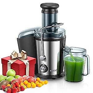 Juicer Machines Vegetable and Fruit, 800W Powerful Juilist Centrifugal Juicer Machines Easy to Clean with Brush, Dual Speeds Juice Extractor Machine with Large 3'' Feed Chute & Anti-Drip