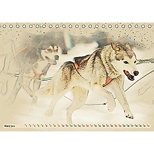 Schlittenhunde 2019 (Tischkalender 2019 DIN A5 quer): Der Kalender ist im kunstvollen Aquarell-Stil gehalten, so dass jedes einzelne Bild einem kleinen Kunstwerk gleicht. (Monatskalender, 14 Seiten )