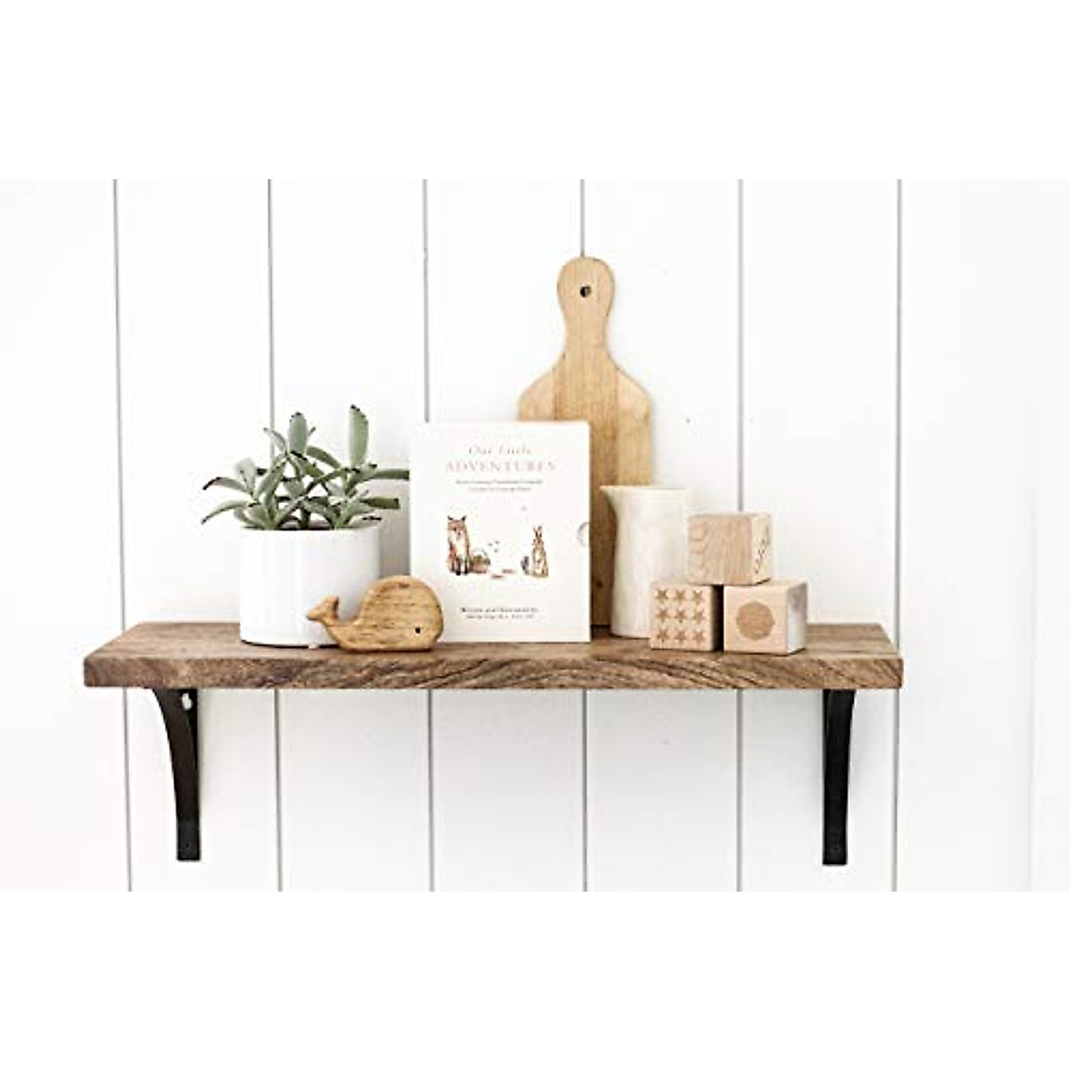 Our Little Adventures: Stories Featuring Foundational Language Concepts for Growing Minds (Our Little Adventures Series)