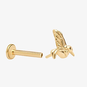 Hummingbird Gold Stud Earrings 14K Gold Earrings For Women and Men Helix Piercing Jewelry Cartilage Earring Forward Helix Earrings Tragus Earring 18G Comfy Flat Back Earring, Sold Separately