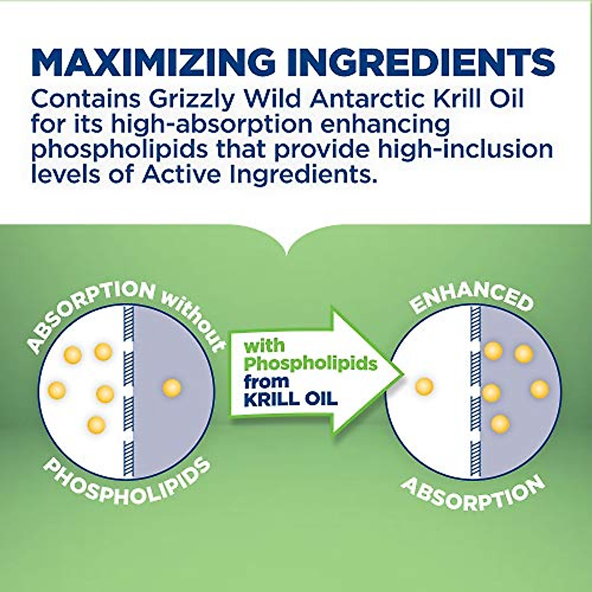 Grizzly Joint Aid for Dogs Liquid Hip and Joint Support (Extra Strength), 32 fl oz