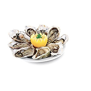 Tescoma 421080 Presto Seafood Oyster Opener, Stainless Steel, Pearl White