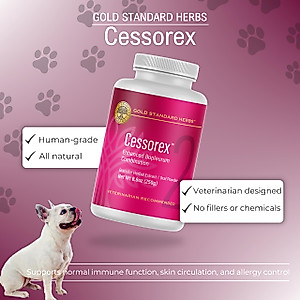 Cessorex Allergy Relief and Skin Immune Function Support Supplement for Dogs by Gold Standard Herbs, All Natural Bupleurum Combination, 250 gram Powder