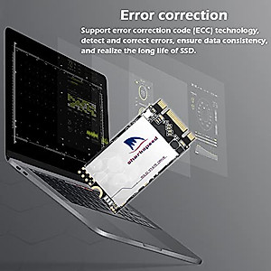 SHARKSPEED SSD 2TB M.2 2242 NGFF Plus M2 SSD 3D NAND SATA III 6 Gb/s,Internal Solid State Drive for Notebooks Desktop PC (M.2 2242 2TB)