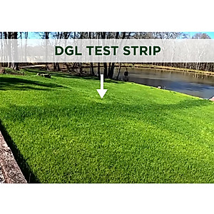 The Andersons Professional DGL Dark Green Lawn™ 25-0-0 Fertilizer with Iron - Covers 5,000 sqft. (18lb. Bag)