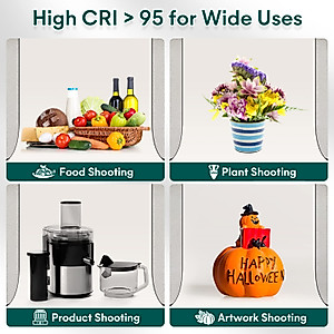 Daguerre 24"x24" Foldable Photo Studio Light Box, Bi-Color Dimmable Shooting Tent with 240 LED Lights, 3000-5500K - Includes 6 Color Backdrops for Professional Photography